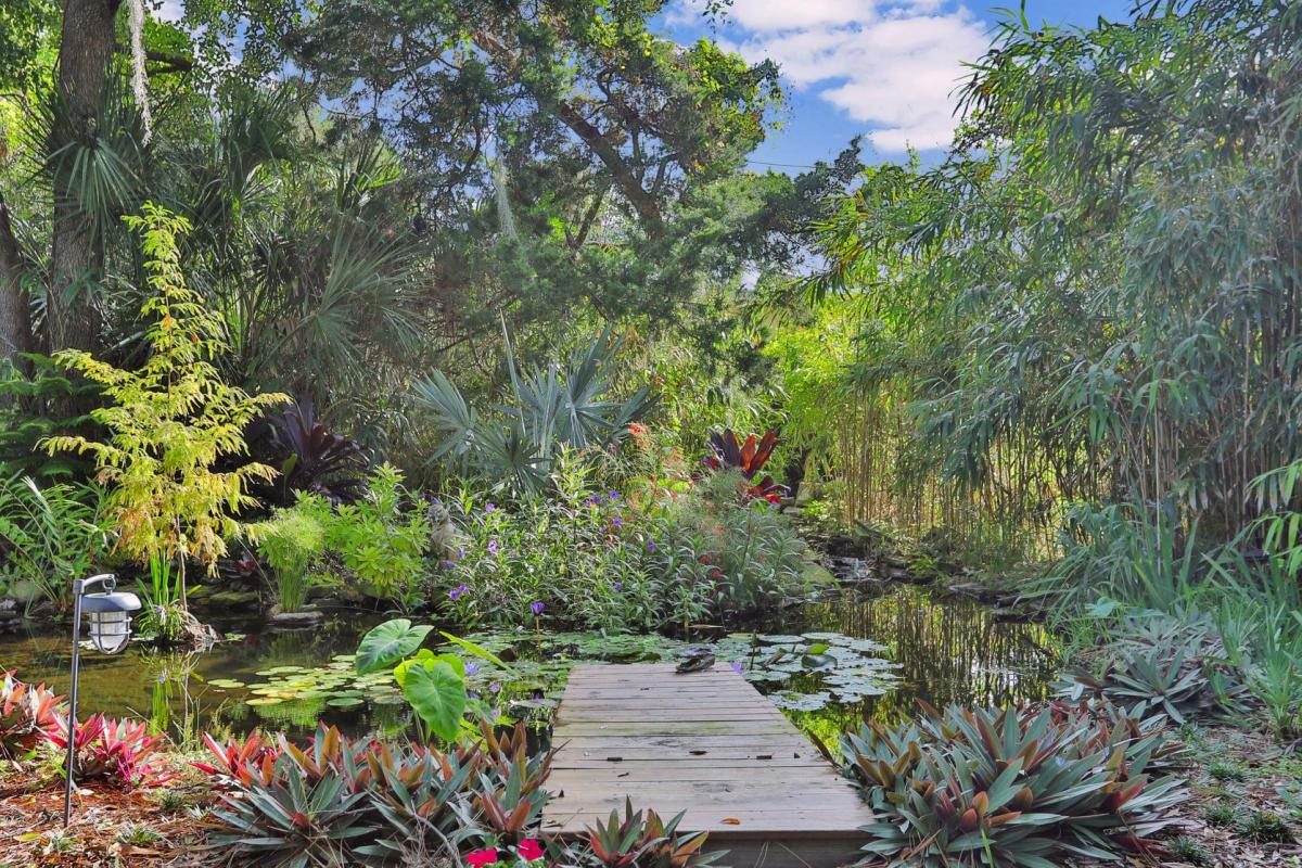 GOOD MORNING – Jed Wolf